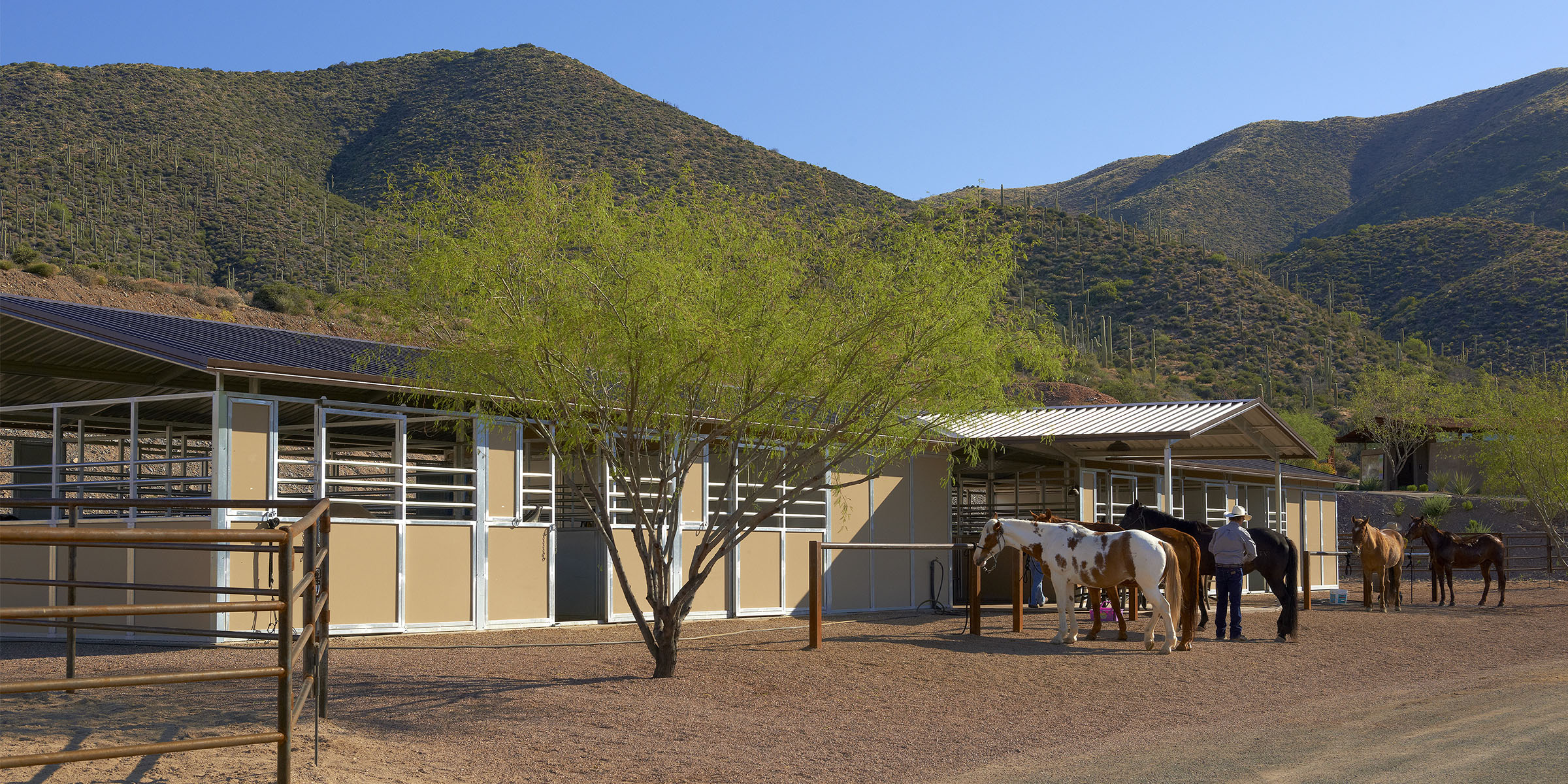 Desert Mountain | Rider Elite Luxury